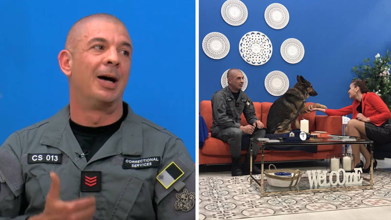 Bil-Filmat: "Il-Kelb Twieled Biex Iħobb, U Xogħlu Jagħmlu Fi Żmien ...
