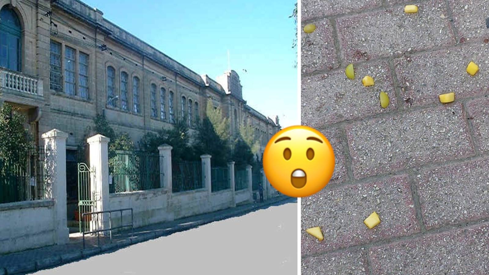 “Din Il-Persuna Rmiet L-Ikel Fid-Daħla Tal-Iskola Apposta U Mxiet B'Mod ...