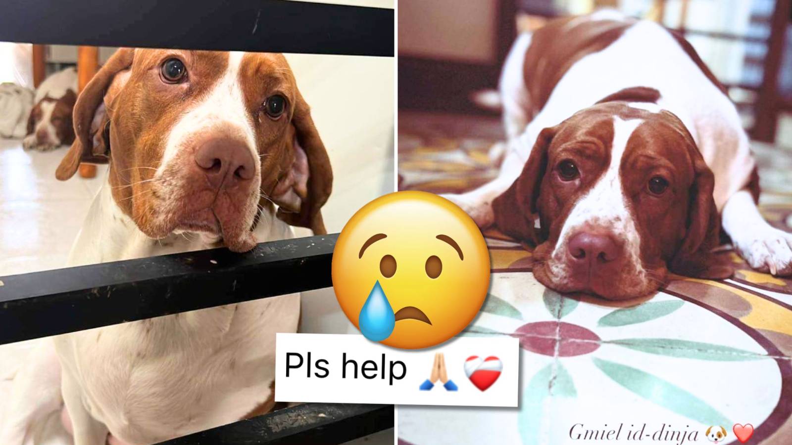 "Jinsabu D-Dar Waħedhom!"- Omm U Bint B'Appell Urġenti Wara Li Sidhom ...