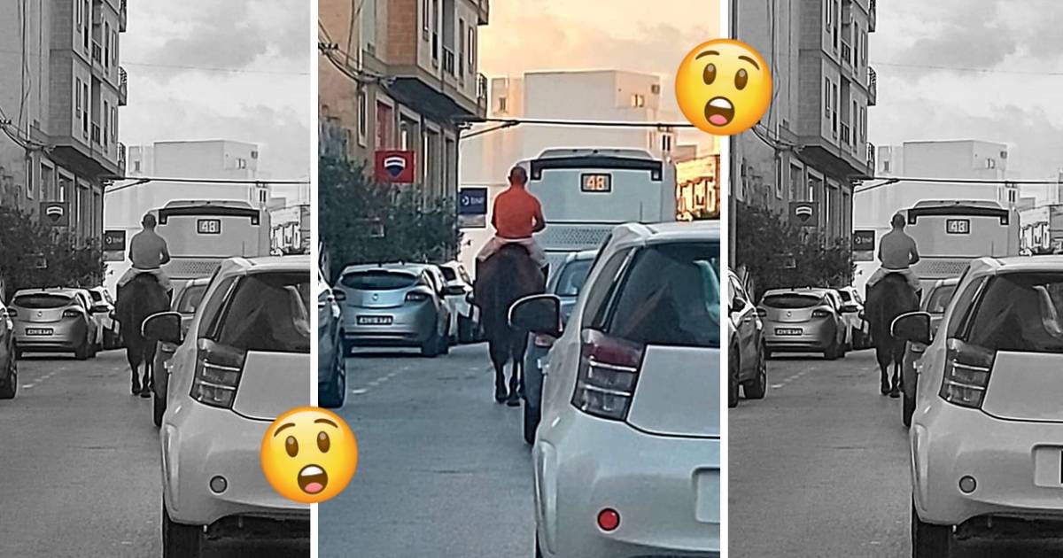 Bir-Ritratt: Joħroġ Dawra Biż-Żiemel Fi Triq Traffikuża F'San Pawl Il ...