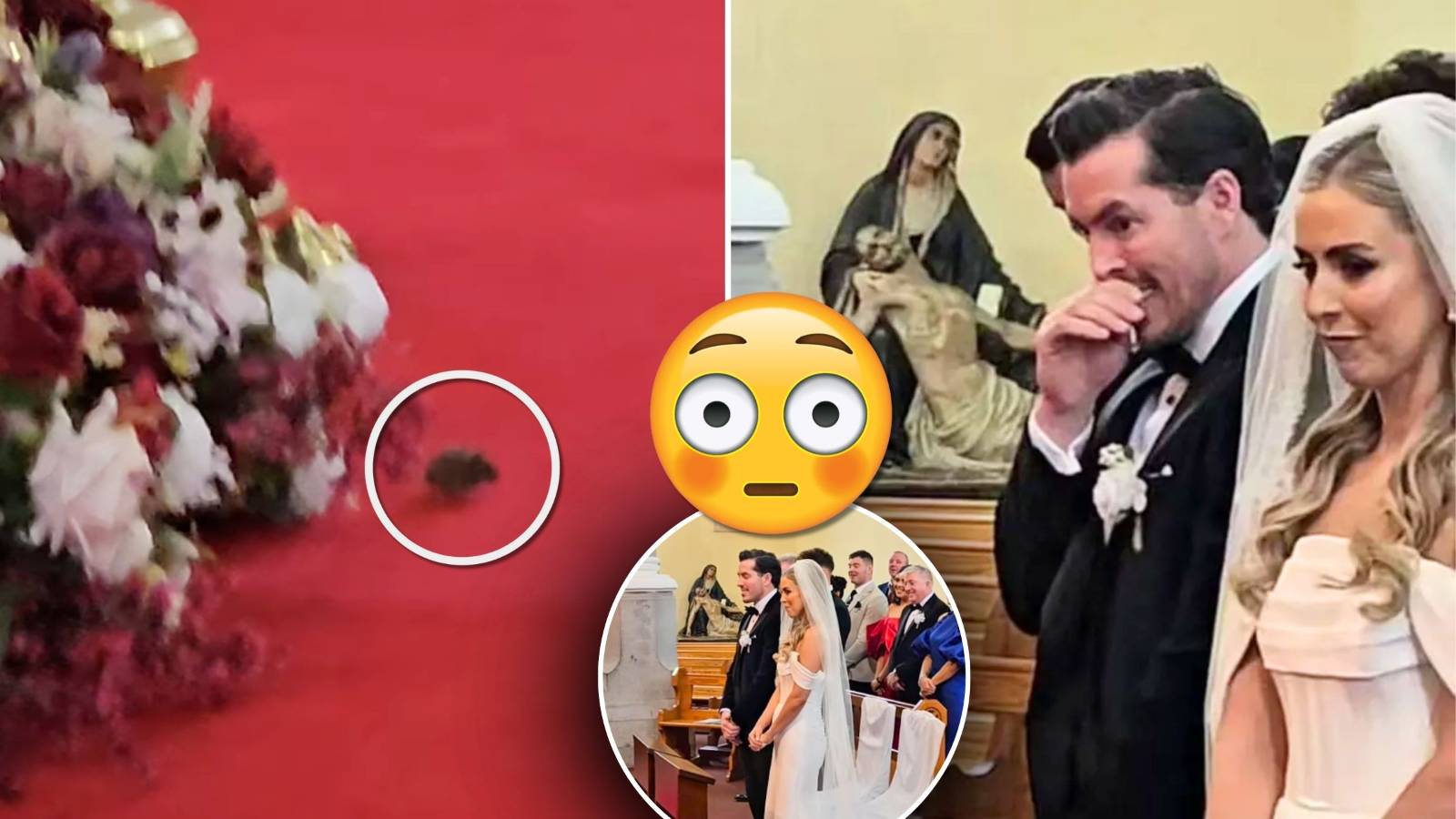 Ġurdien Joħroġ Minn Taħt L-Artal Tal-Knisja F'Nofs Tieġ